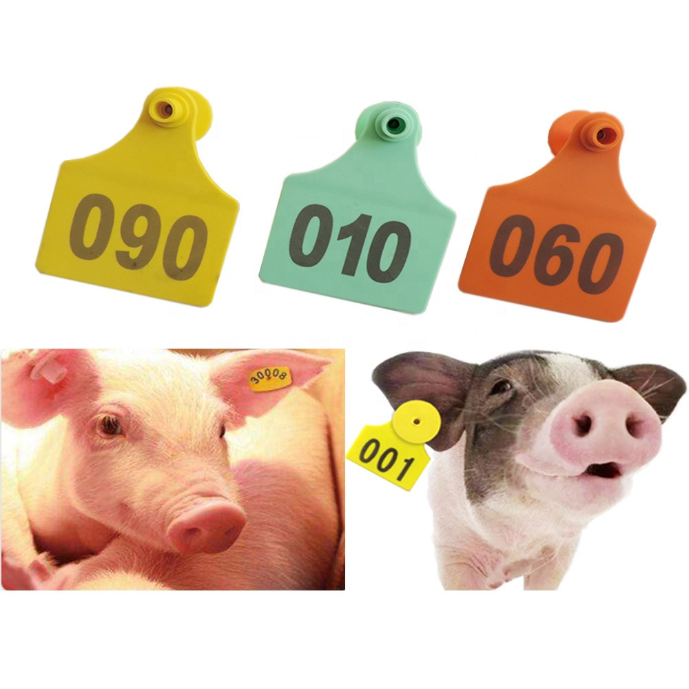 Buy Laser Cattle Ear Tag Printing Marking Engraving Machine Machines ...