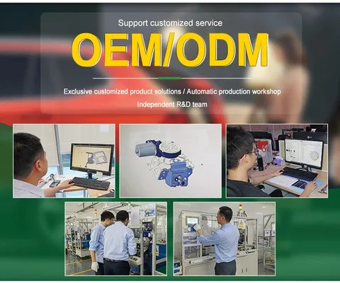 Buy Liush 2 Years Warranty Electric Tailgate Lifter Intelligent Kick ...