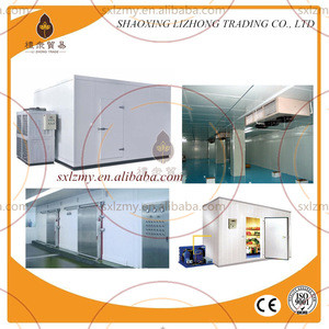 Buy Low Temperature Walk In Freezer Vegetable Cold Room Freezer Price ...
