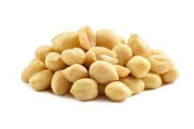 Buy Peanuts Raw In Shell High Quality Peanuts Dried Egypt Top Selling ...