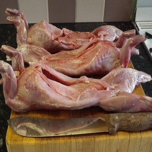 Buy Rabbit Meat +frozen Whole Rabbit Meat / Frozen Rabbit Meat And Part ...