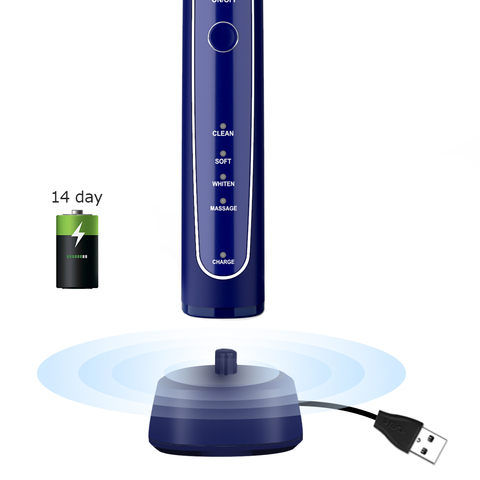 Buy Usb Induction Charging Electric Toothbrush Ipx7 Waterproof Sonic ...