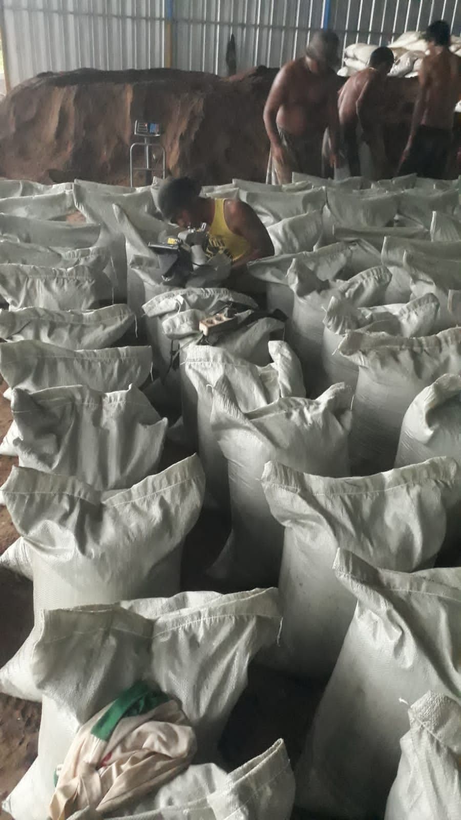 Buy Copra Meal from PT Global Prime Ventures, Indonesia | Tradewheel.com