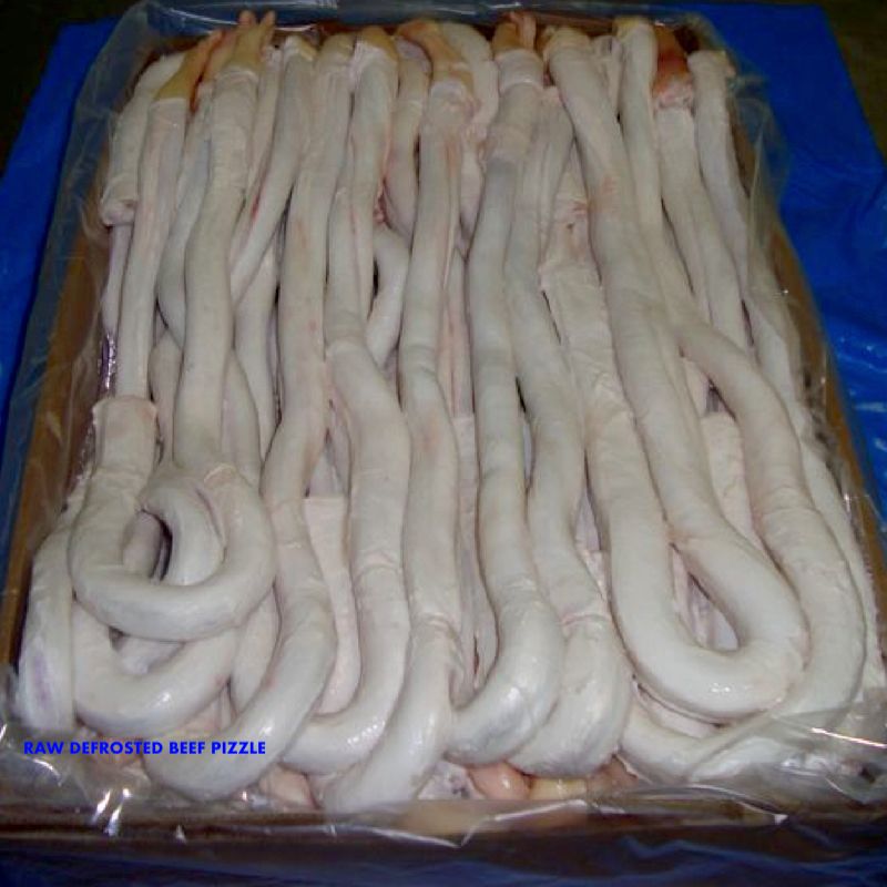 Buy Frozen Beef Pizzle from JBS (SEARA) SA, Brazil | Tradewheel.com