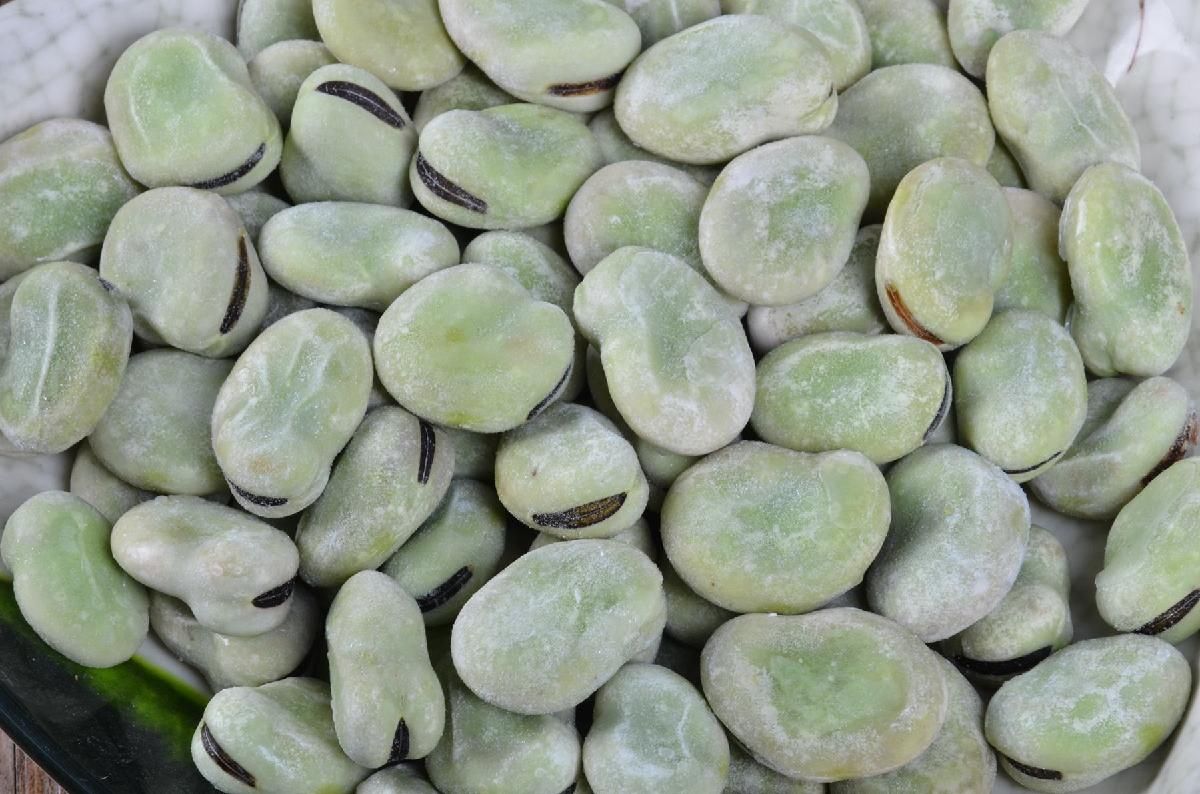 Buy Al Yom Iqf Frozen Broad Beans from Al Yom Land Mark Co, Egypt ...