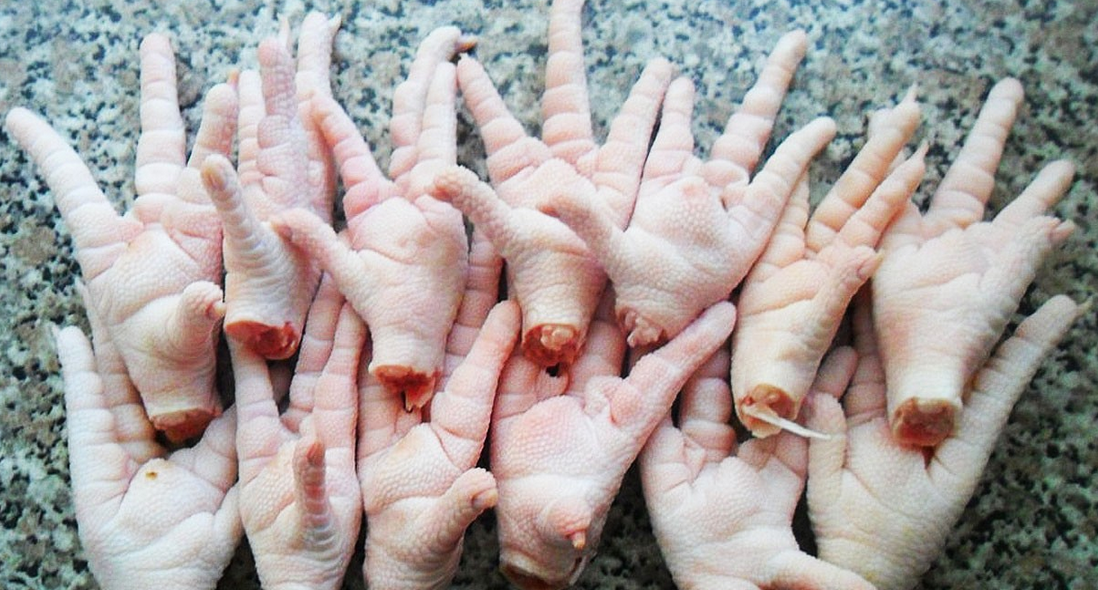Buy Chicken Feet from Ahura Trade Holding, Iran | Tradewheel.com