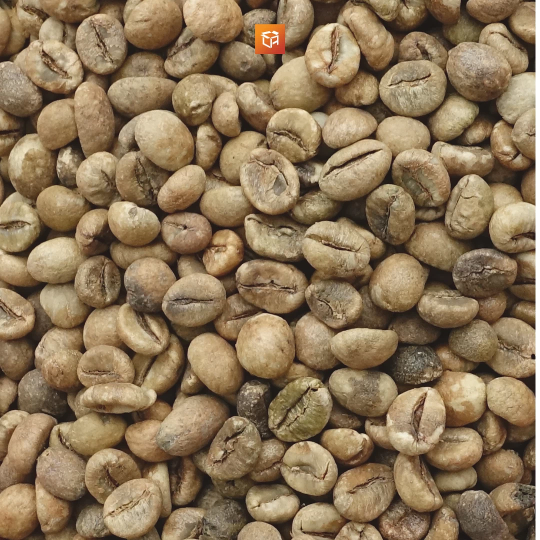 Buy Robusta Green Bean Coffee Wp Grade 1 L from PT Exim Jaya Abadi ...