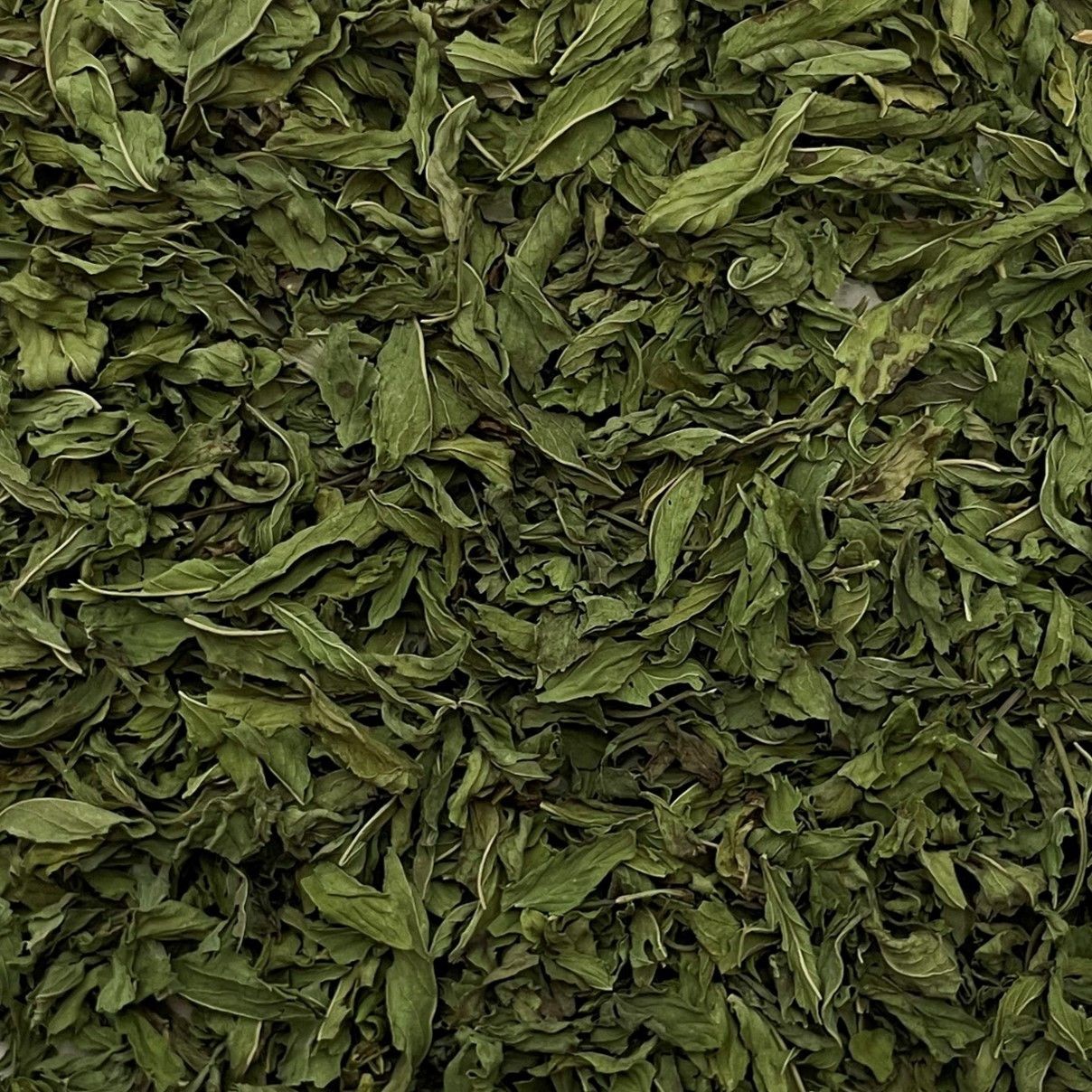Buy Dried Mint Leaves from Mehrspices, Iran | Tradewheel.com