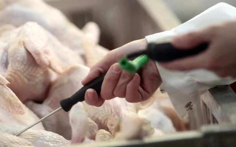 Chicken Paw, A Grade & Chicken Mid-joint Wings, A Grade from Master ...