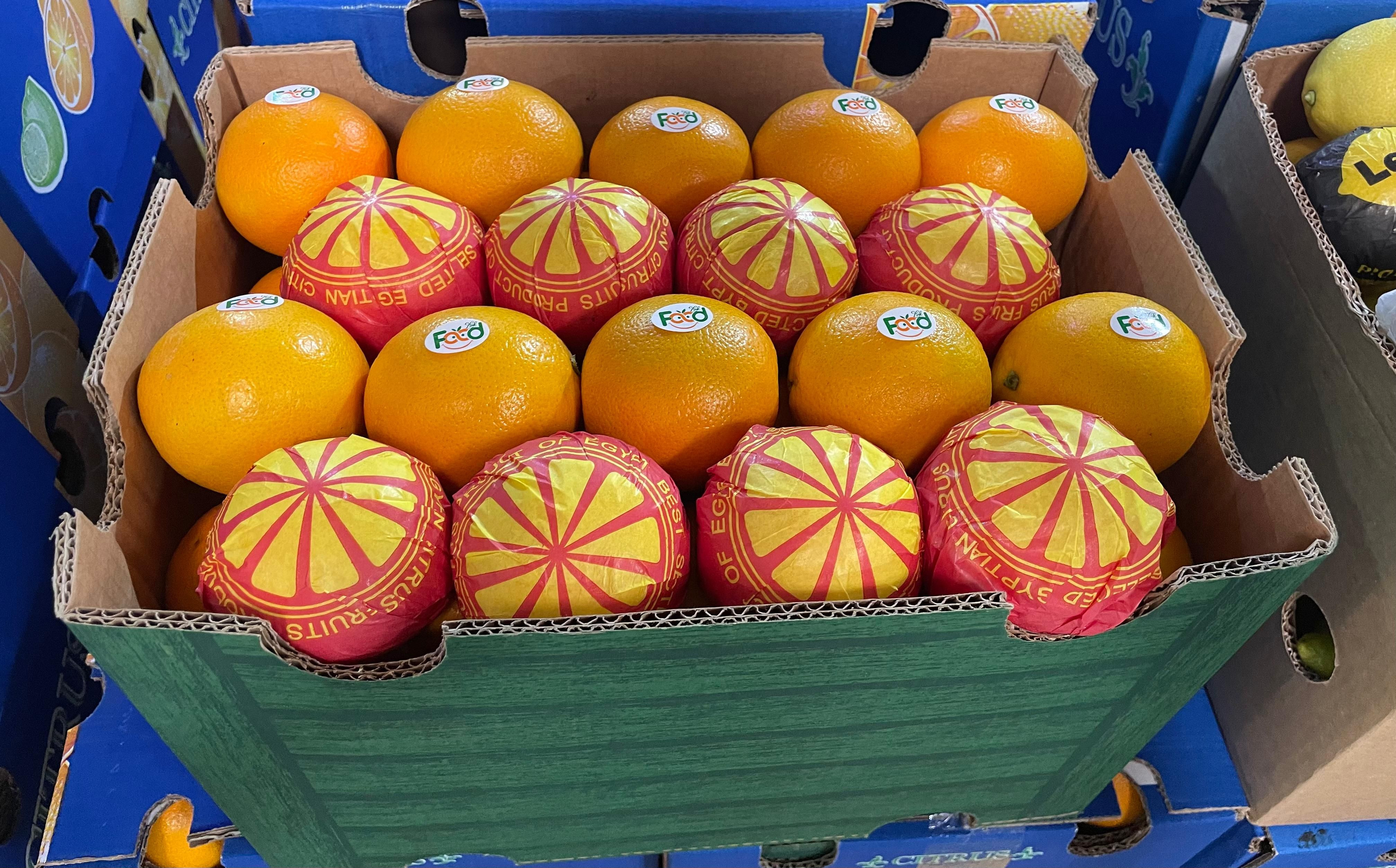 Buy Oranges from Foodlink, Egypt | Tradewheel.com