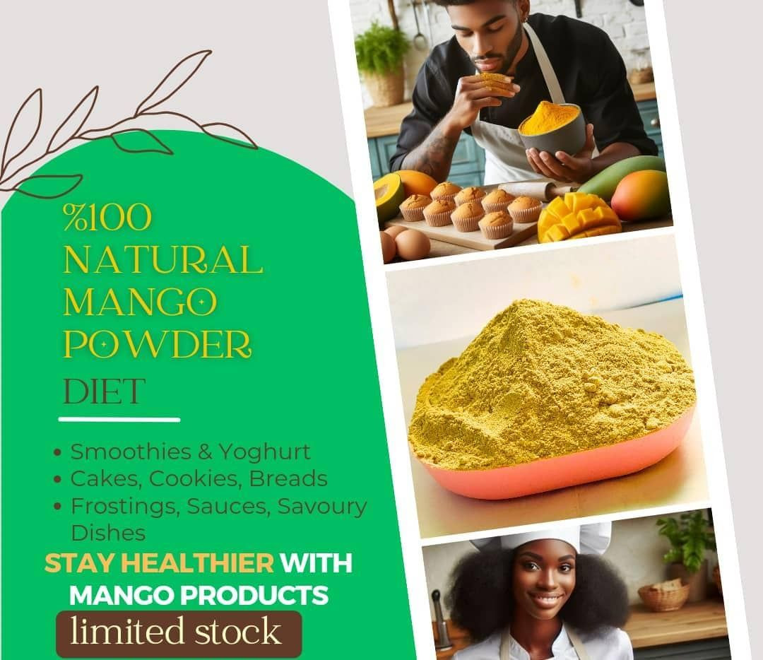 Buy Mango Powder High Quality 99% Mango Fruit Powder from Rodishgord ...