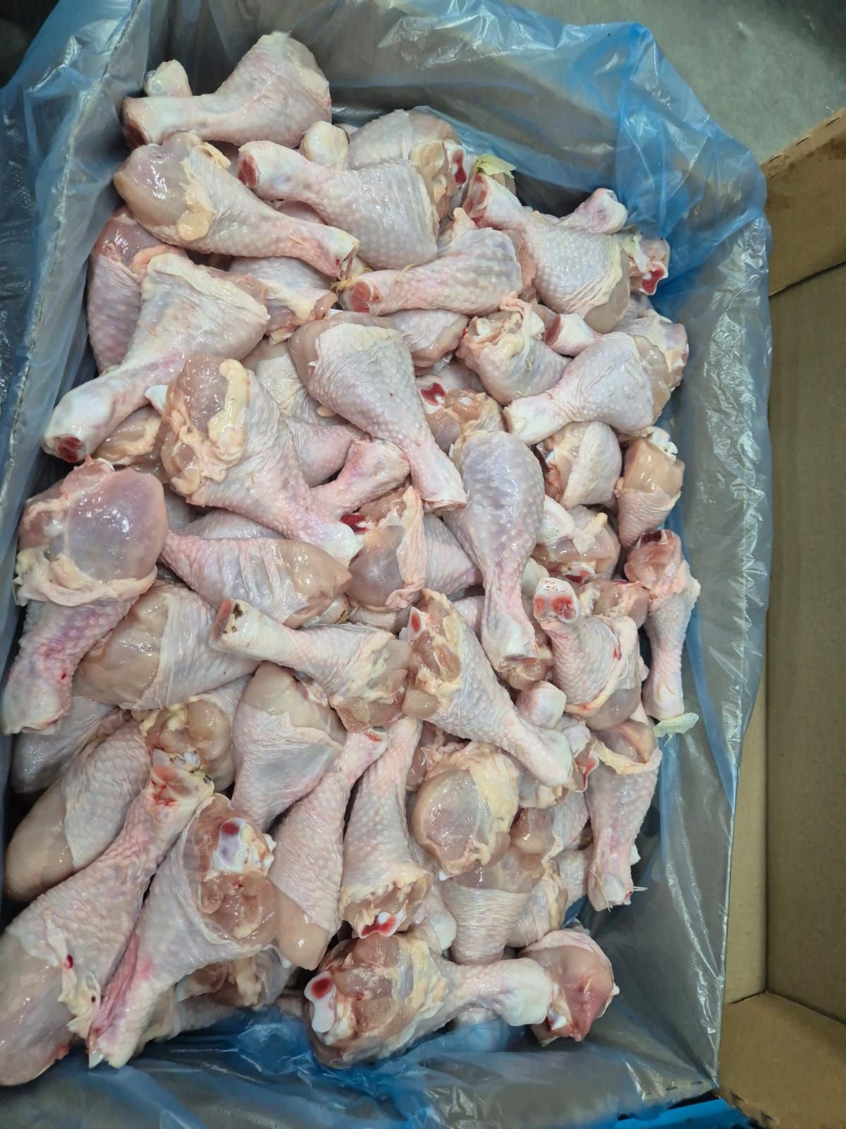 Buy Halal Frozen Whole Chicken & Parts from GMK World Trade s.r.o ...