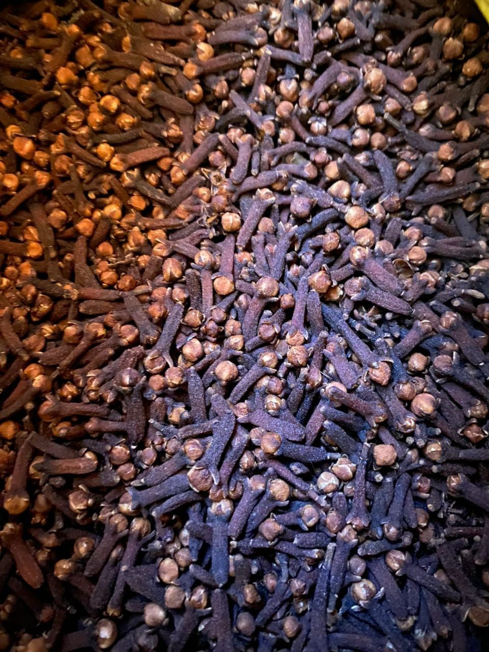 Buy Wholesales Natural Dried Whole Cloves Good Quality Single Spices ...