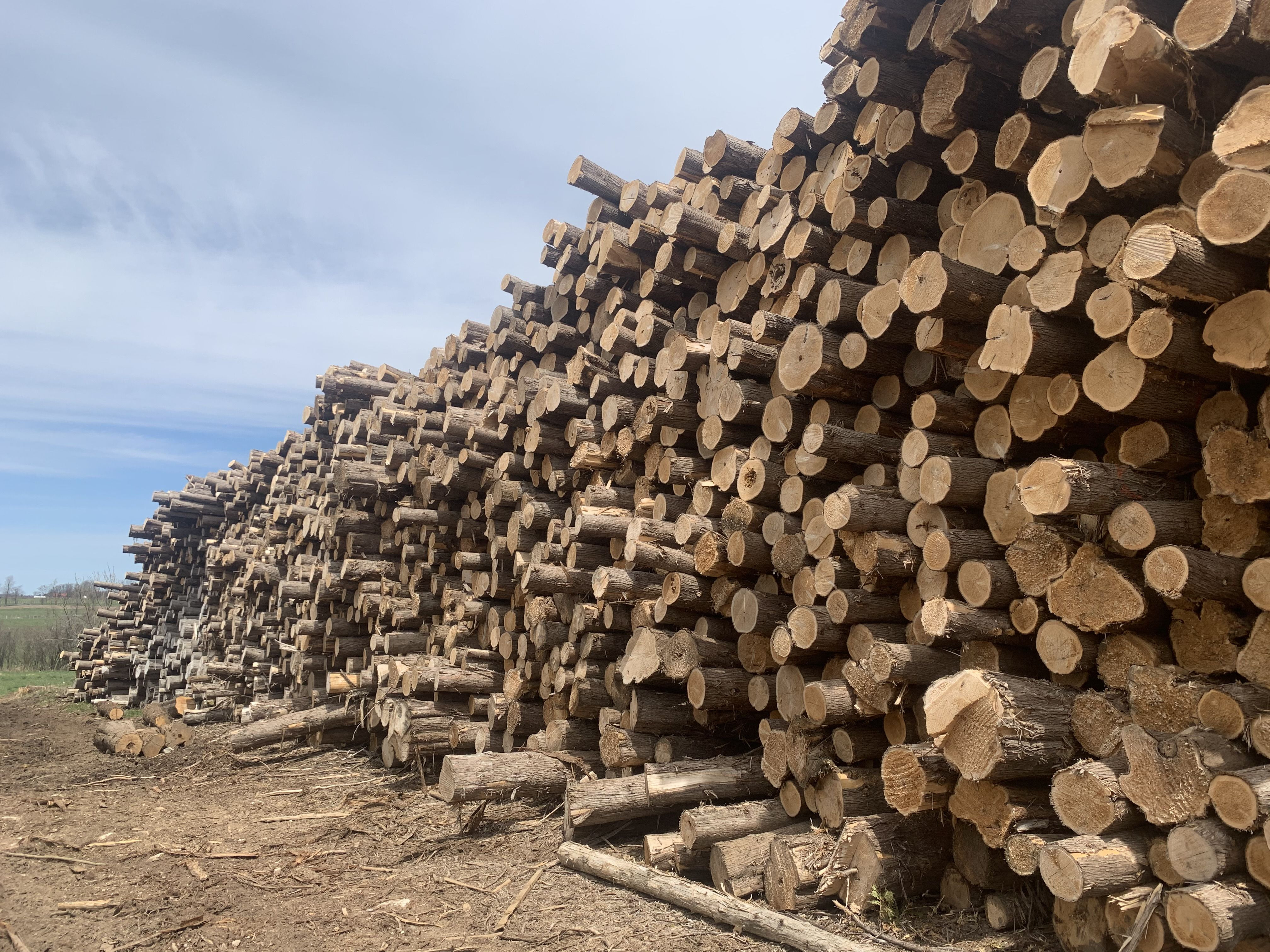Buy Natural Forest Products, Mulch, Dimensional Lumber And Timber from ...