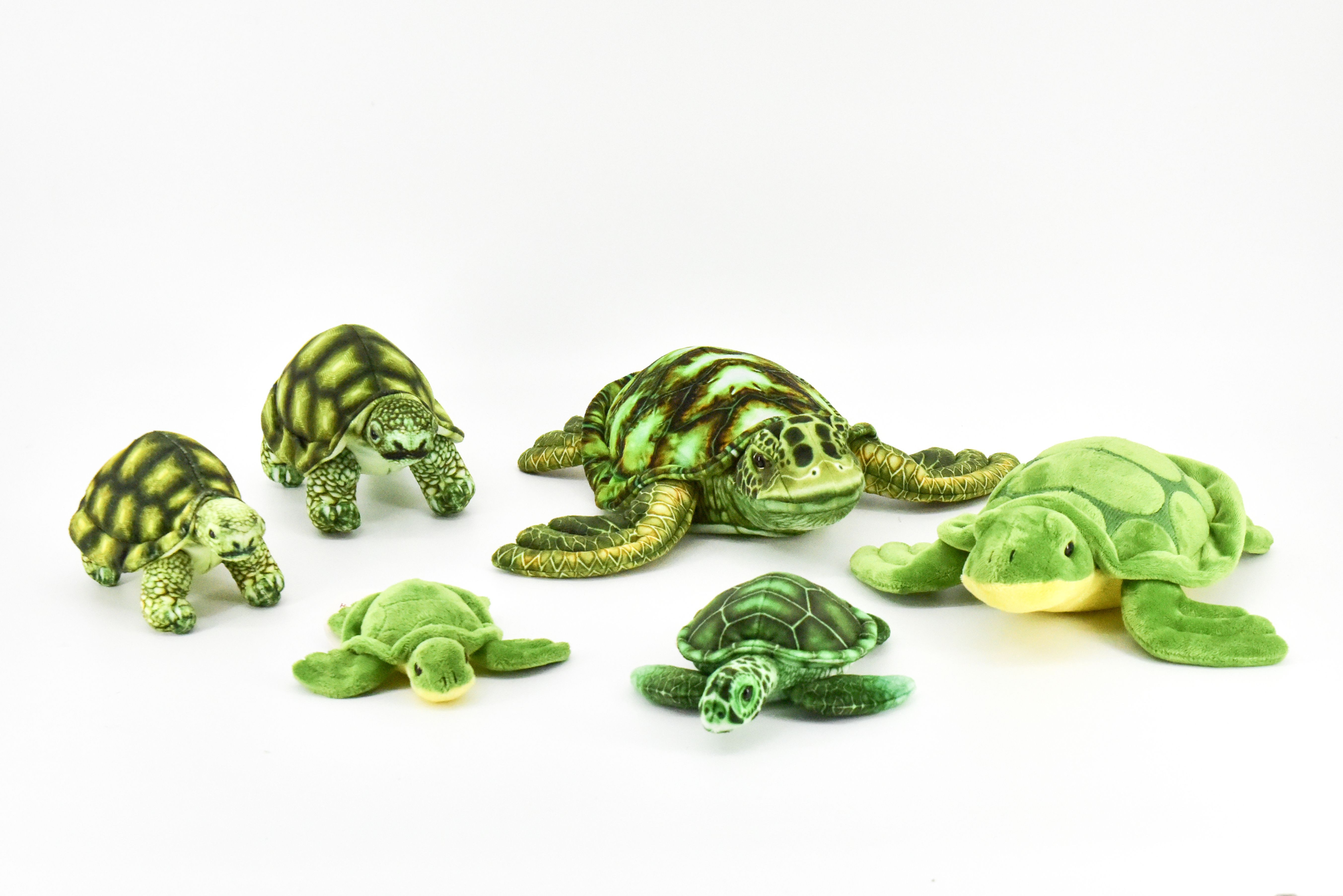 Buy Turtle (gdx22024-2) from Wendeng Huakai Toys Co.,Ltd, China ...