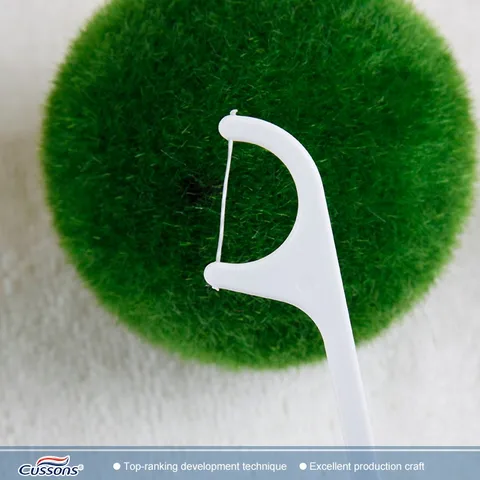 Buy 2021 Best Selling Dental Floss Toothpick Customized Logo Factory ...