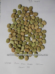 Buy Broad Beans from COMMEX INTERNATIONAL PTY LTD, Australia ...