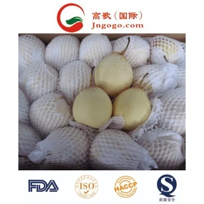 Buy China 72/80/96/112/18kg /carton Ya Pear Asia Pear Huang Guan Pear ...