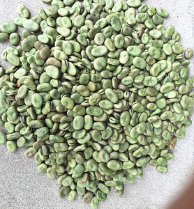 Buy Chinese Broad Faba Beans from Henan Alchemy Food Co., Ltd., China ...