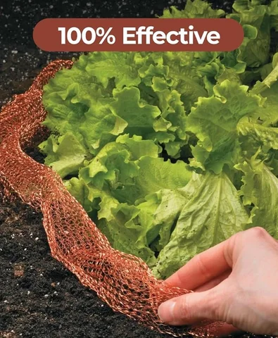 Buy Competitive Price Customizable Good Ductility Copper Micro Screen ...