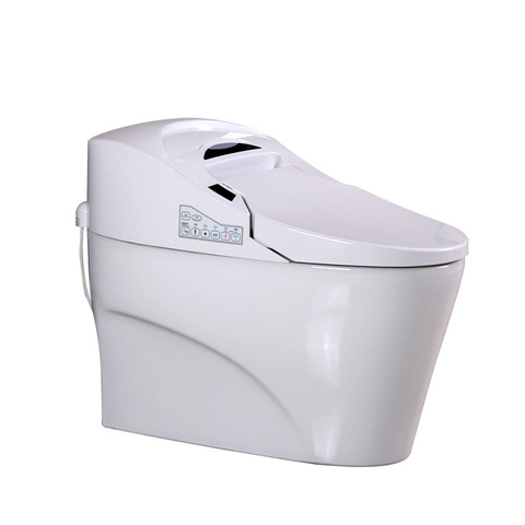 Buy European Style Intelligent Toilet One Piece Bidet Smart Toilet For ...