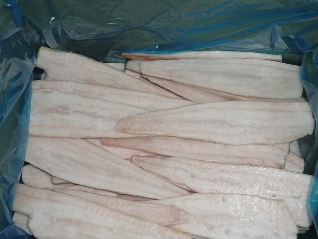 Buy Frozen Alaska Polleck Filete De Pescado Alaska Pollock Fillet from ...