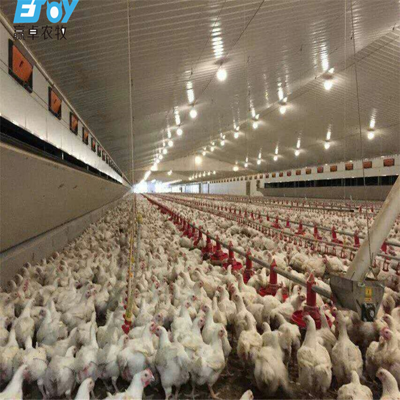 Buy Prefab Poultry Closed House System With Full Set Automatic Broiler ...