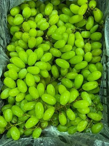 Buy Premium Egyptian Early Sweet Grapes For Export - High-quality And ...