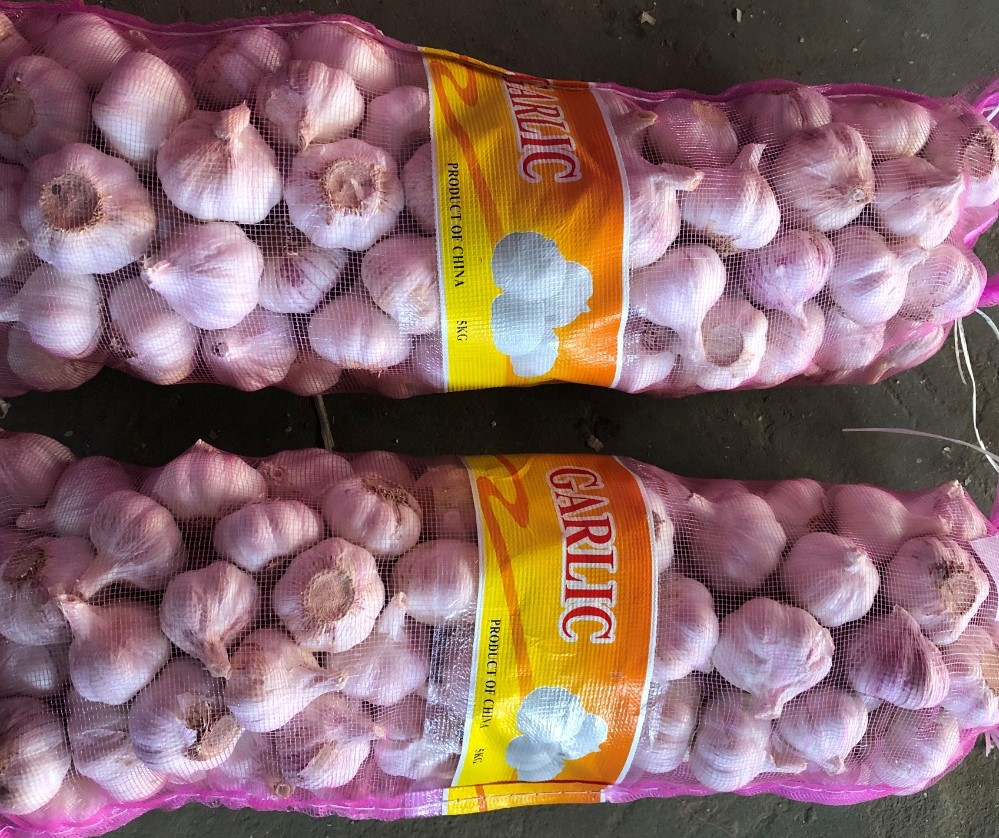 Buy Shan Dong Garlic Jin Xiang Garlic China Pure White Violet Fresh ...