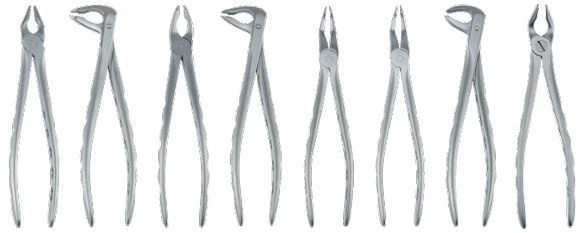 Buy Dental Extraction Forceps from Blink Surgident instruments ...