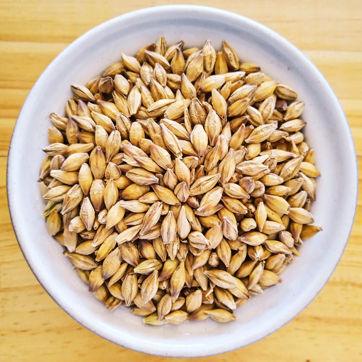 Buy High Nutrition Barley Animal Feed For Farm Animals Bulk Supply ...