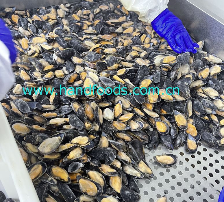 Buy Frozen Cooked Half-shell Blue Mussel from Hand Foods (Dalian) Co ...