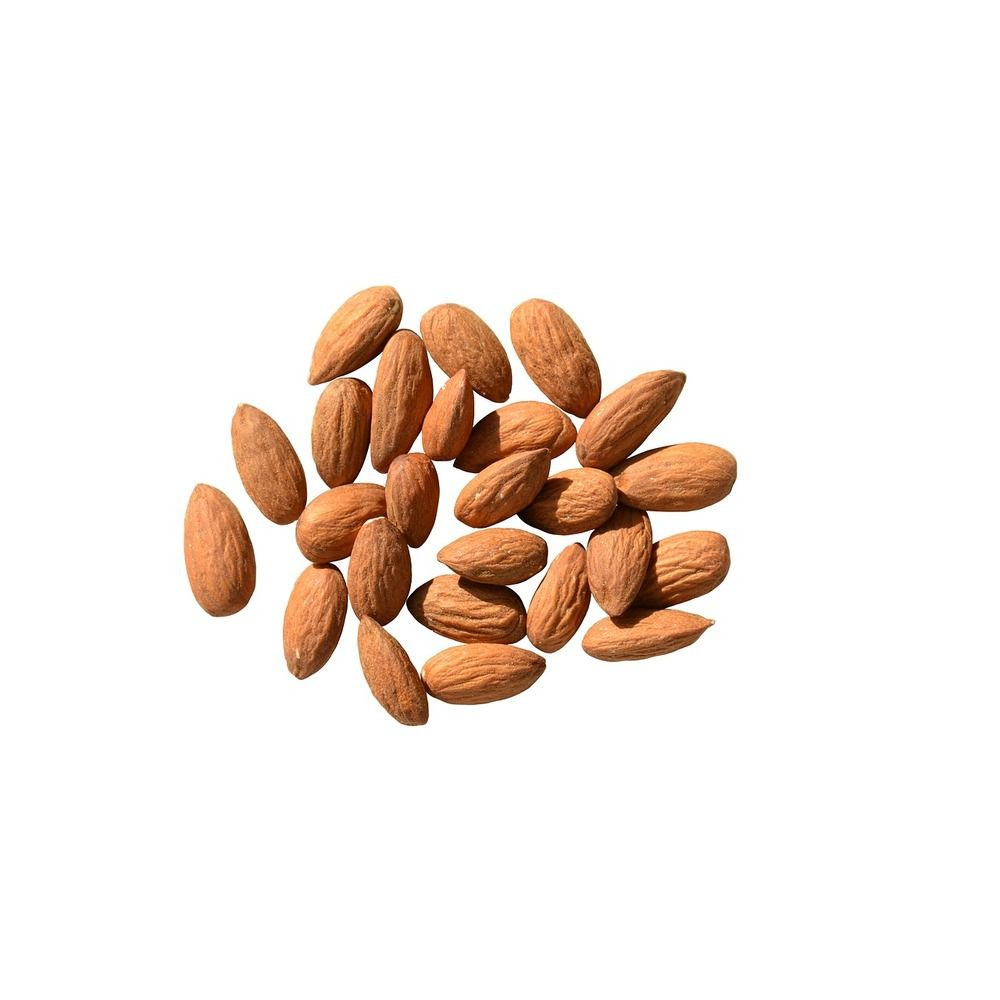 Buy Almonds from Nibble Well Foods, India | Tradewheel.com