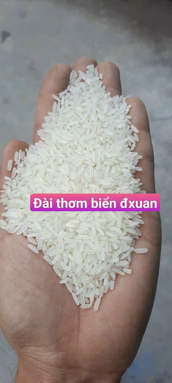 Buy Long Grain Rice Dt8 (5% Broken) from CHEN HAO CO., LTD, Vietnam ...