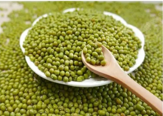 Buy Vigna Mung Beans For Sale from Integral Group Trading W.L.L ...