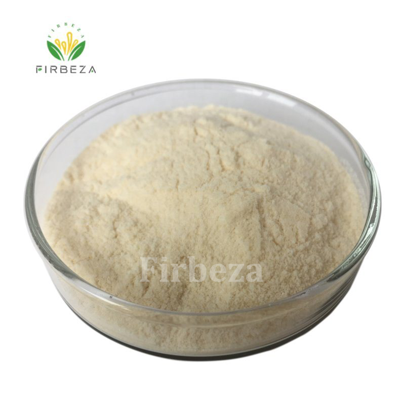 Buy Food Additive 80% - 90% Chitosan Oligosaccharide Lactate Powder ...