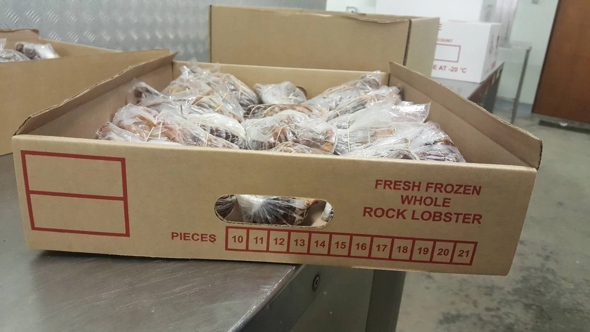 Buy Frozen Rock Lobster from Red Bridge Asia Limited, Hong Kong ...
