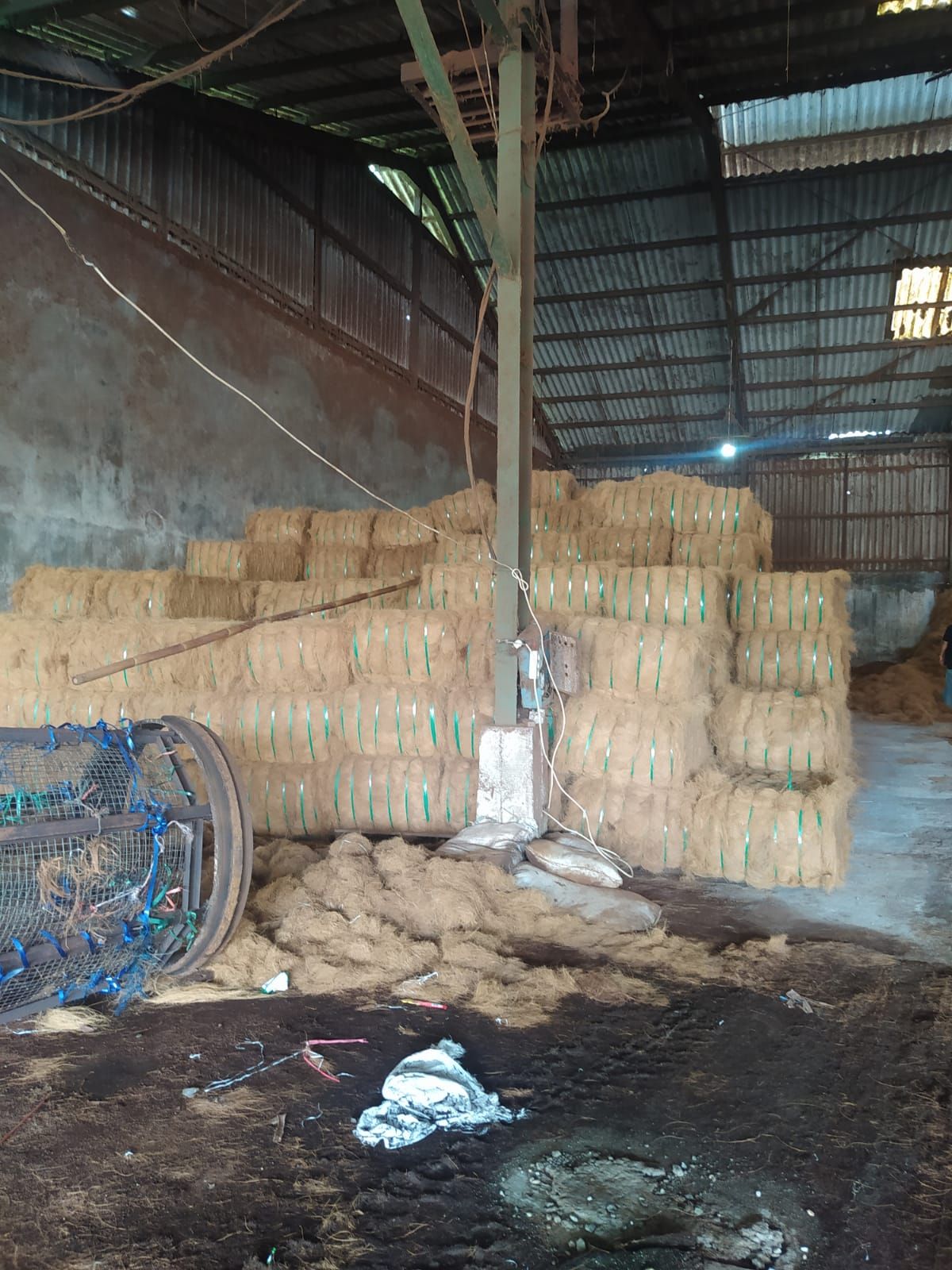 Buy Coco Fibre from PT. PANGESTU ANAM BERSAMA, Indonesia | Tradewheel.com
