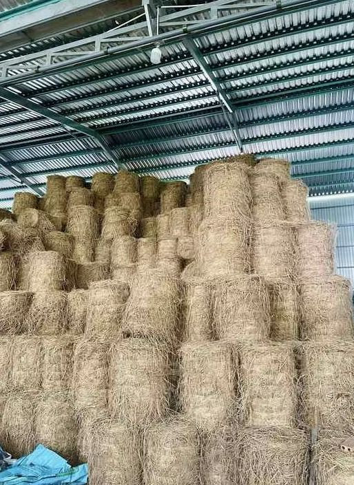 Buy Straw Hay Bales Best Wheat Hay Bales Alfalfa Animal Feed For Sale ...