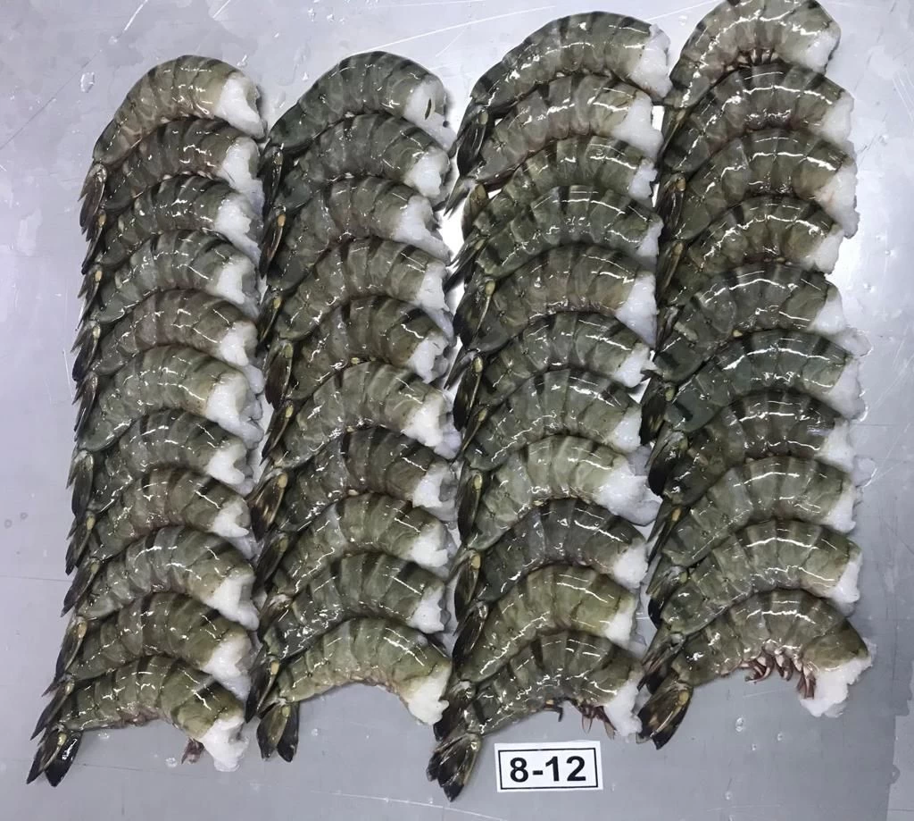 Buy Tiger Prawn from PT. Cahaya Sukma Aji, Indonesia | Tradewheel.com