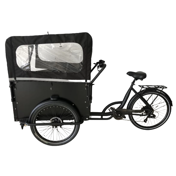 Buy 48v 250w Dutch Cargo Trike 3 Wheel Electric Bicycle /cargobike ...
