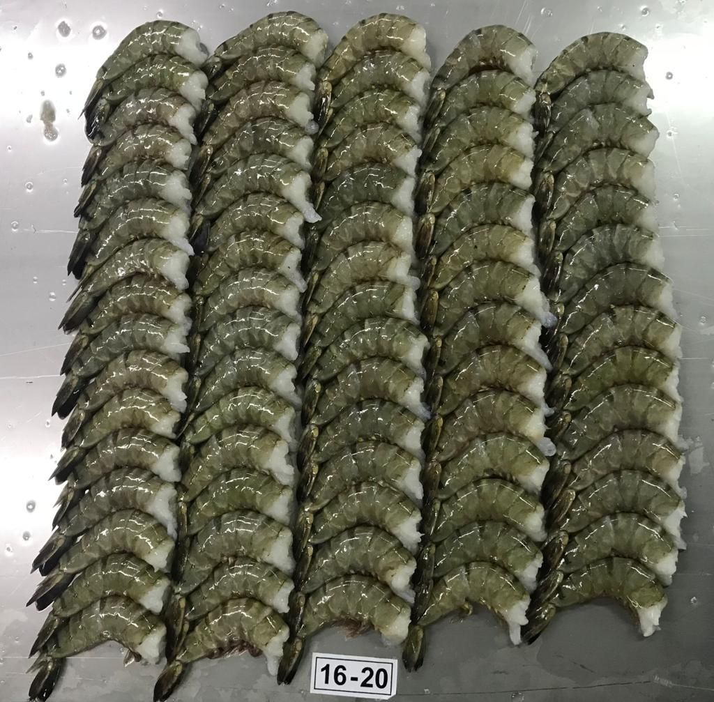 Buy Tiger Prawn from PT. Cahaya Sukma Aji, Indonesia | Tradewheel.com