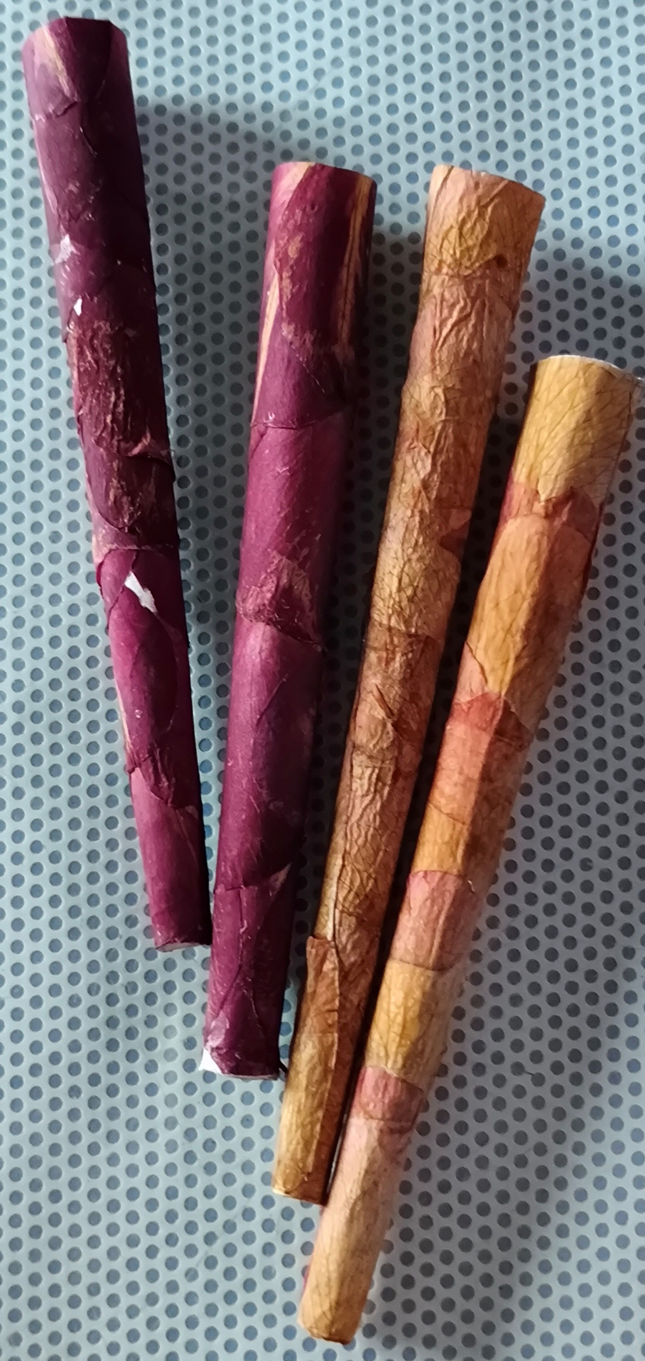 Buy Pre Roll Cone from Winsum International, India | Tradewheel.com