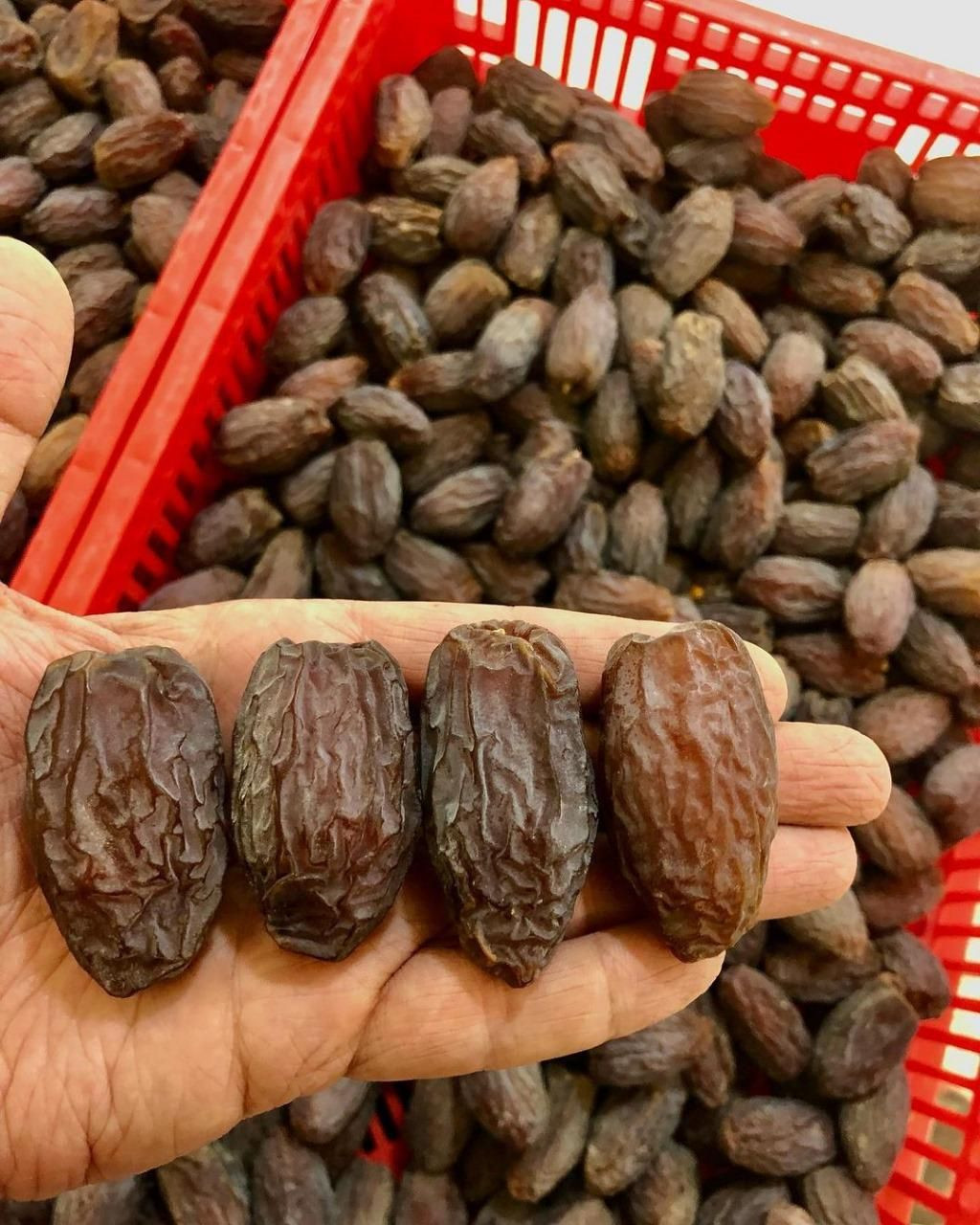 Buy Fresh & Dried Dates For Baking & Cooking – Sweet & Versatil from ...