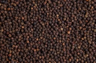 Buy Black Pepper from AGRER FARM, Benin | Tradewheel.com