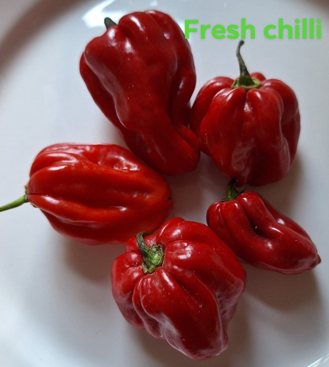 Buy Cameroon Chilli Pepper from Company - Igor Chamgouo, United Kingdom ...