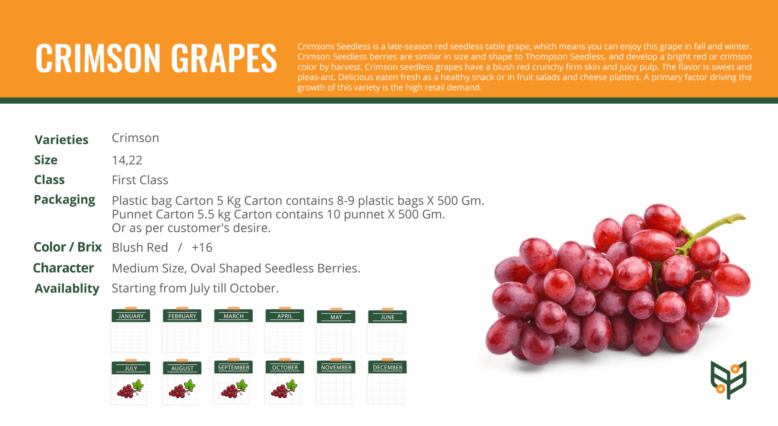 Buy Egyptian Fresh Crimson Grapes Seedless from Green Agro Exports ...