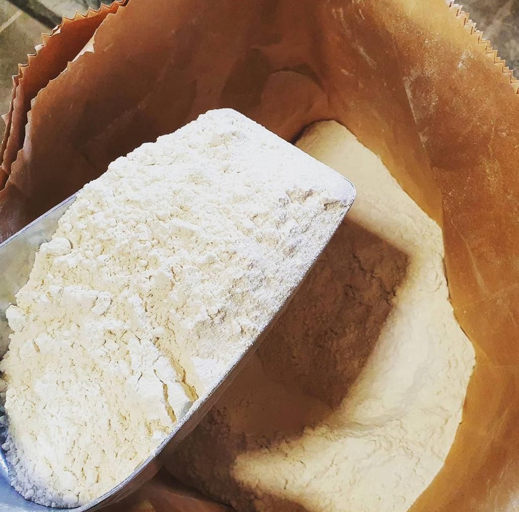 Buy Wheat Flour Type 45,55,65 from EXG SP ZOO, Poland | Tradewheel.com