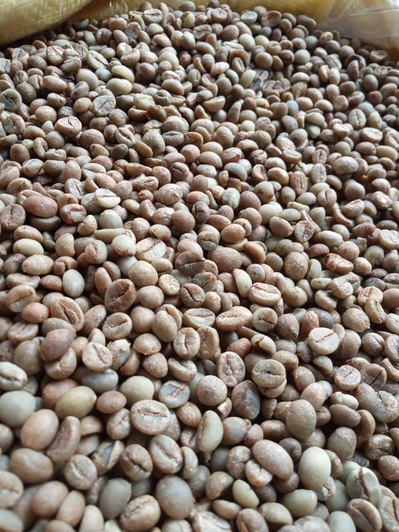 Buy Robusta Coffee Beans / Robusta Buntu Sosang / Green And Roasted ...