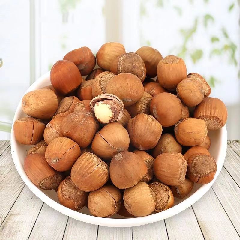 Buy Direct Sales Natural Quality Raw Hazelnuts Nuts from Markco Polo ...